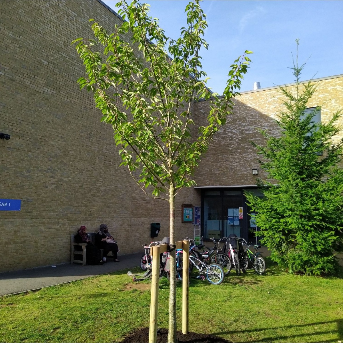 River Bank Primary School - In Memory of our colleague and friend ...